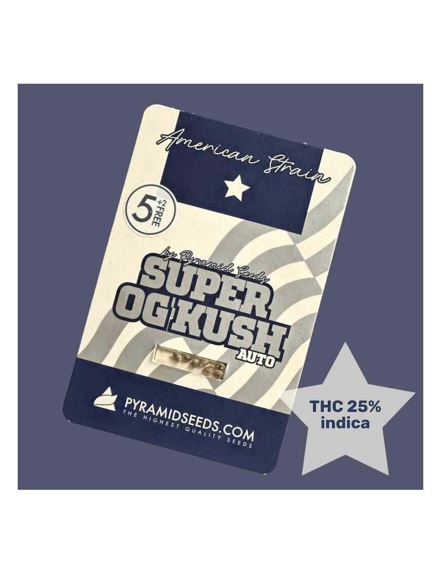 Oh Kush Pepita Auto Super OG Kush Seeds By Pyramid Seeds GrowDiaries