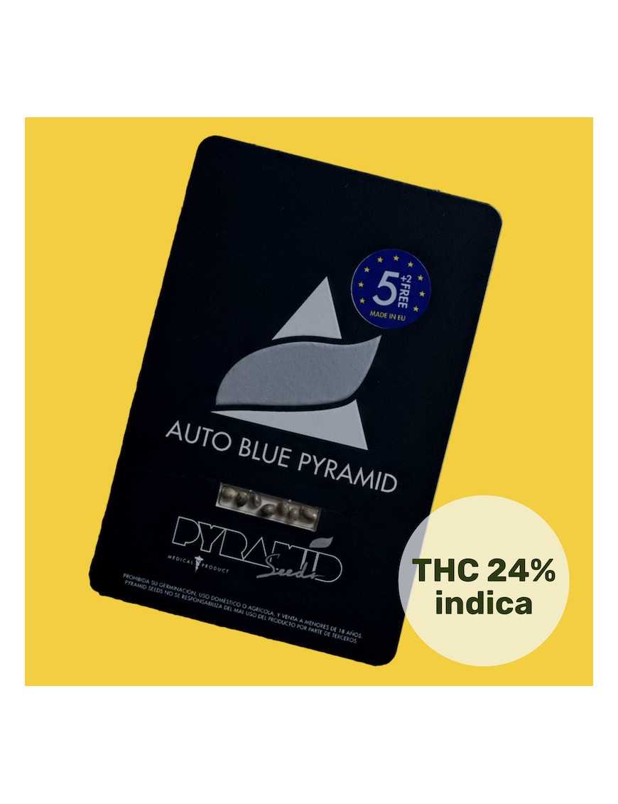 Auto Blue Pyramid – strain with berry flavor | Pyramid Seeds