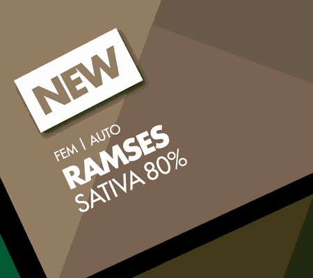 Seed bank - Pyramid Seeds