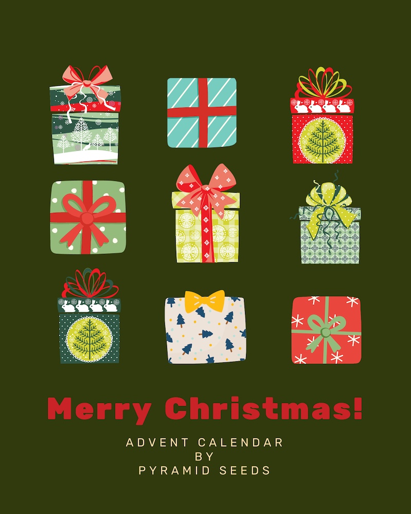 Pyramid Seeds - Buy High-Quality Marijuana Seeds