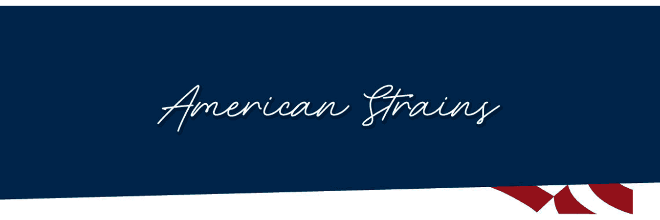 Seed bank - Pyramid Seeds